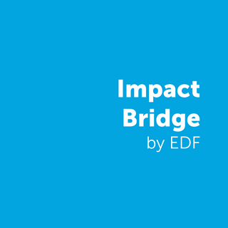 Impact Bridge | Viva Technology