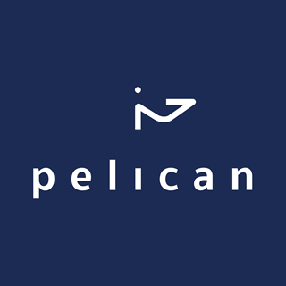 Pelican Cycles | Viva Technology