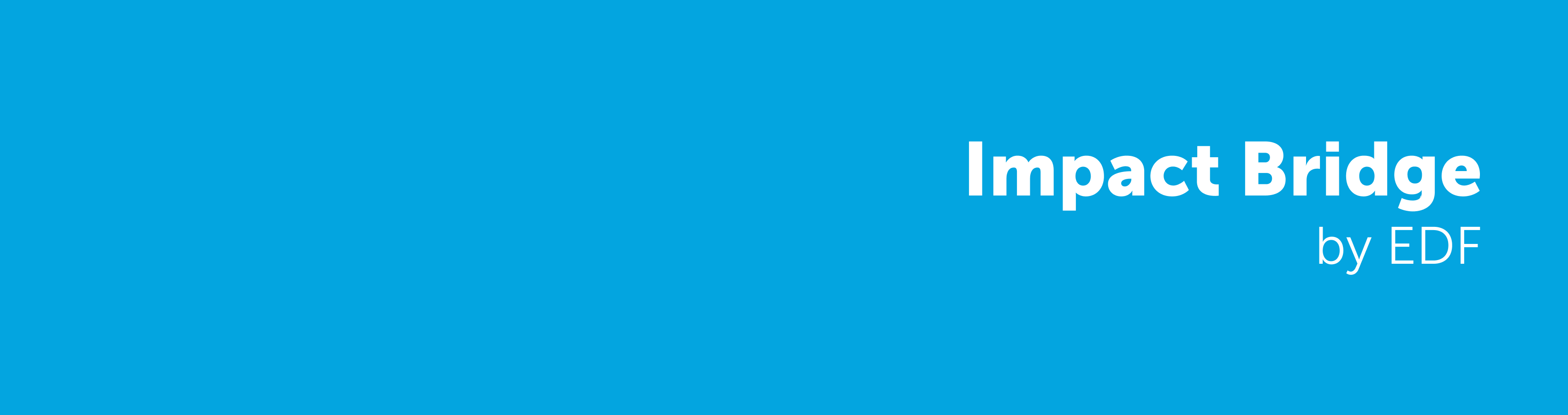 Impact Bridge | Viva Technology