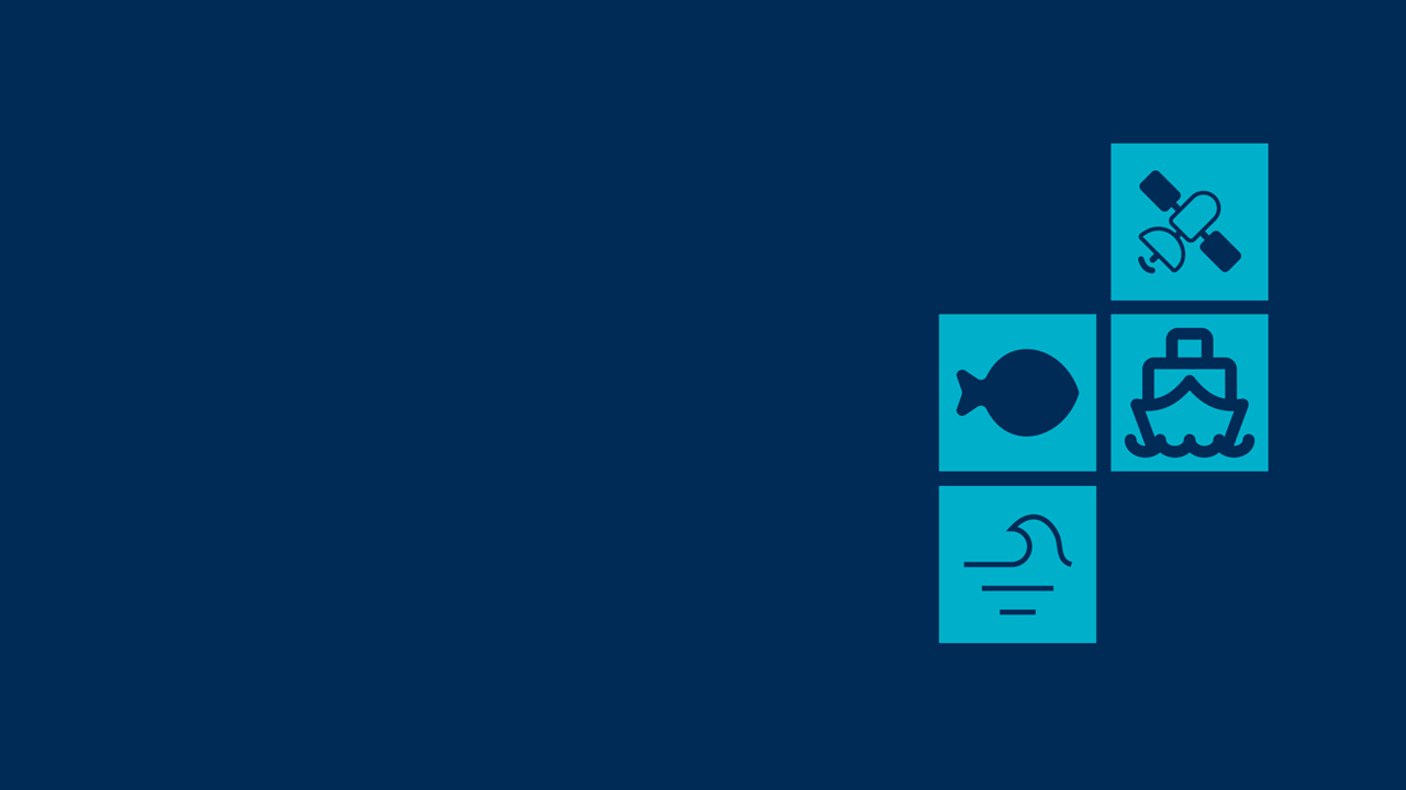 Copernicus Awareness And Training Event For Maritime Sectors South